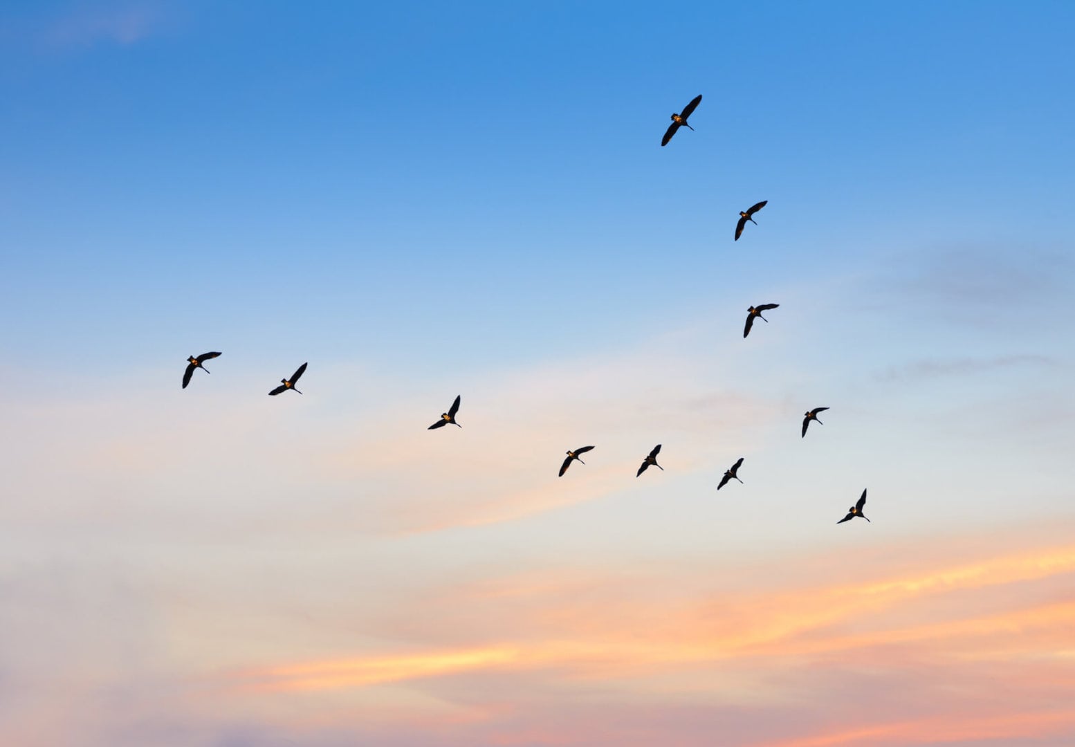 Best Practices: Enterprise Cloud Migration to Azure - Atmosera Best Practices: Enterprise Cloud Migration to Azure - Atmosera